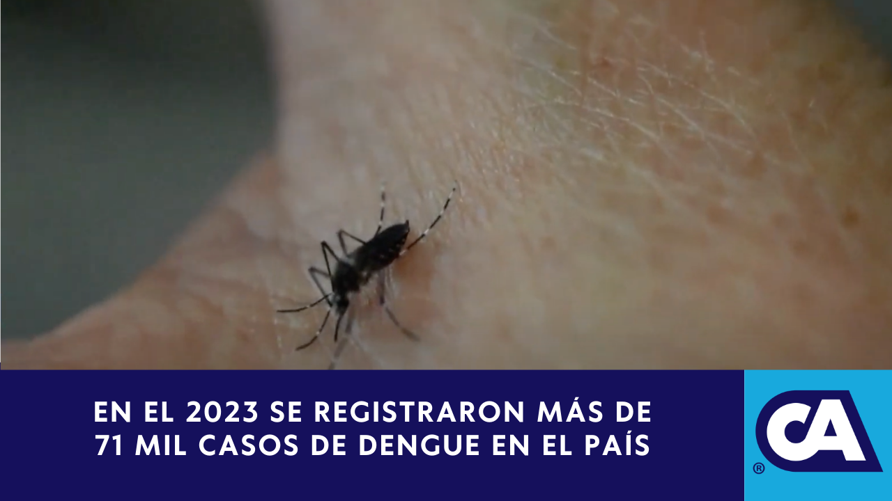 Autoridades de Salud impulsan la prevención para combatir el Dengue a ...